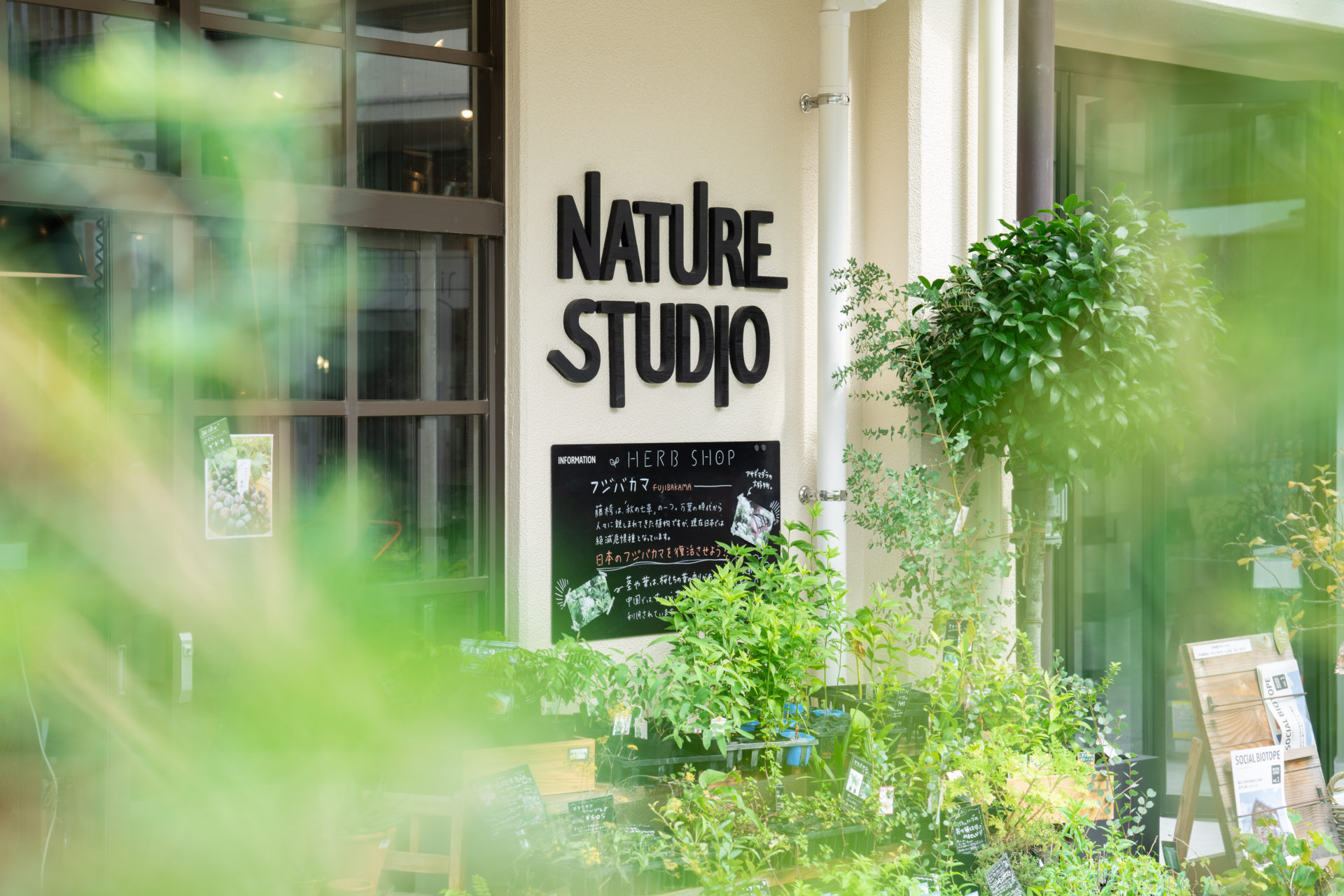 NATURE STUDIO 村上豪英さん 上戸了子さん 稲葉滉星さん - GO GREEN KOBE